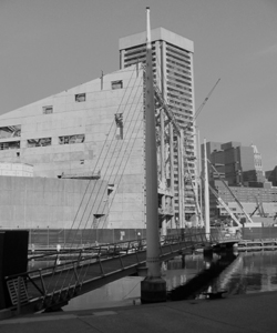 Engineer's Guide to Baltimore: Cable-Stayed Bridge between Piers 3 and 4