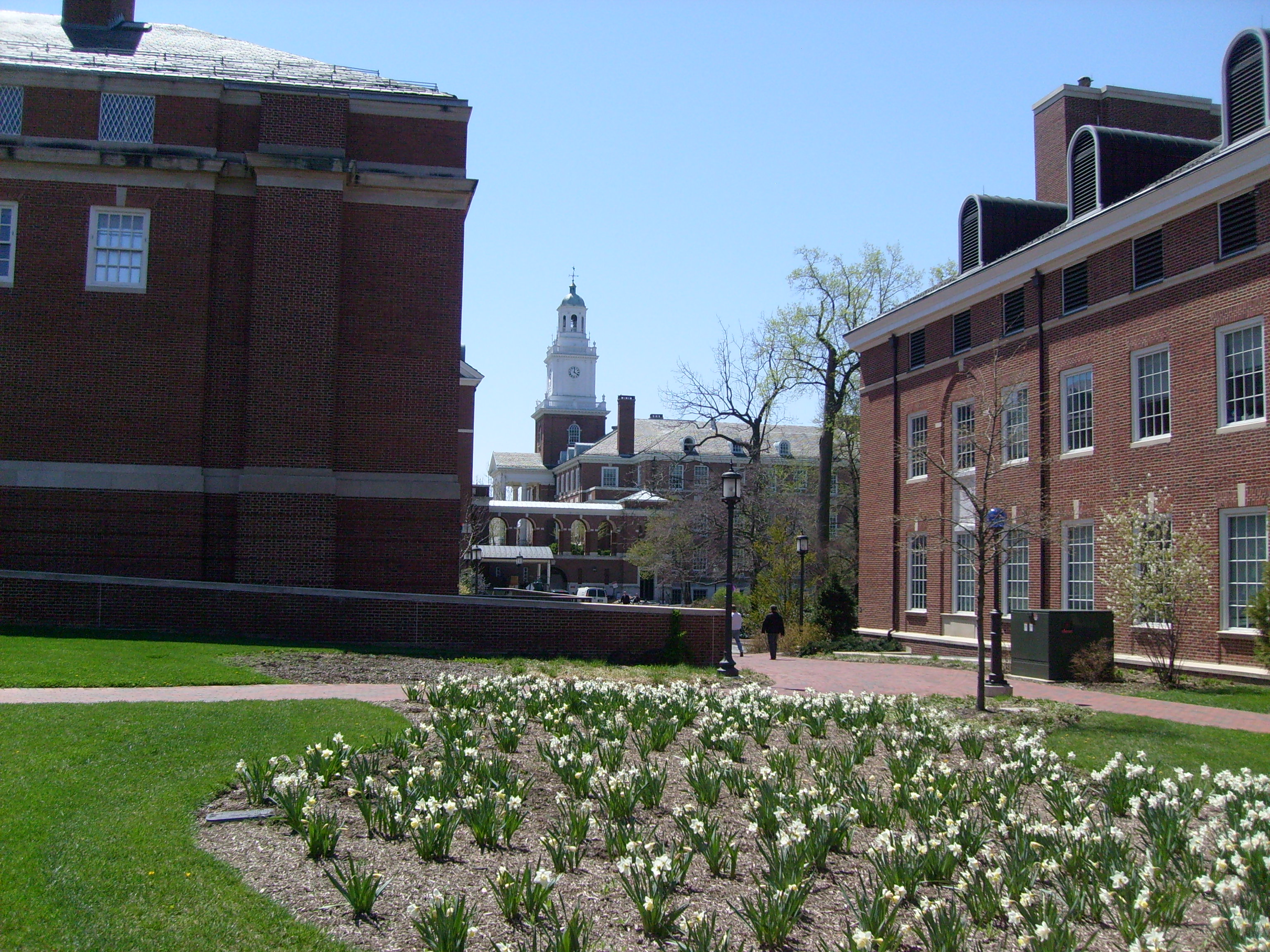 Engineer's Guide to Baltimore: Gilman Hall