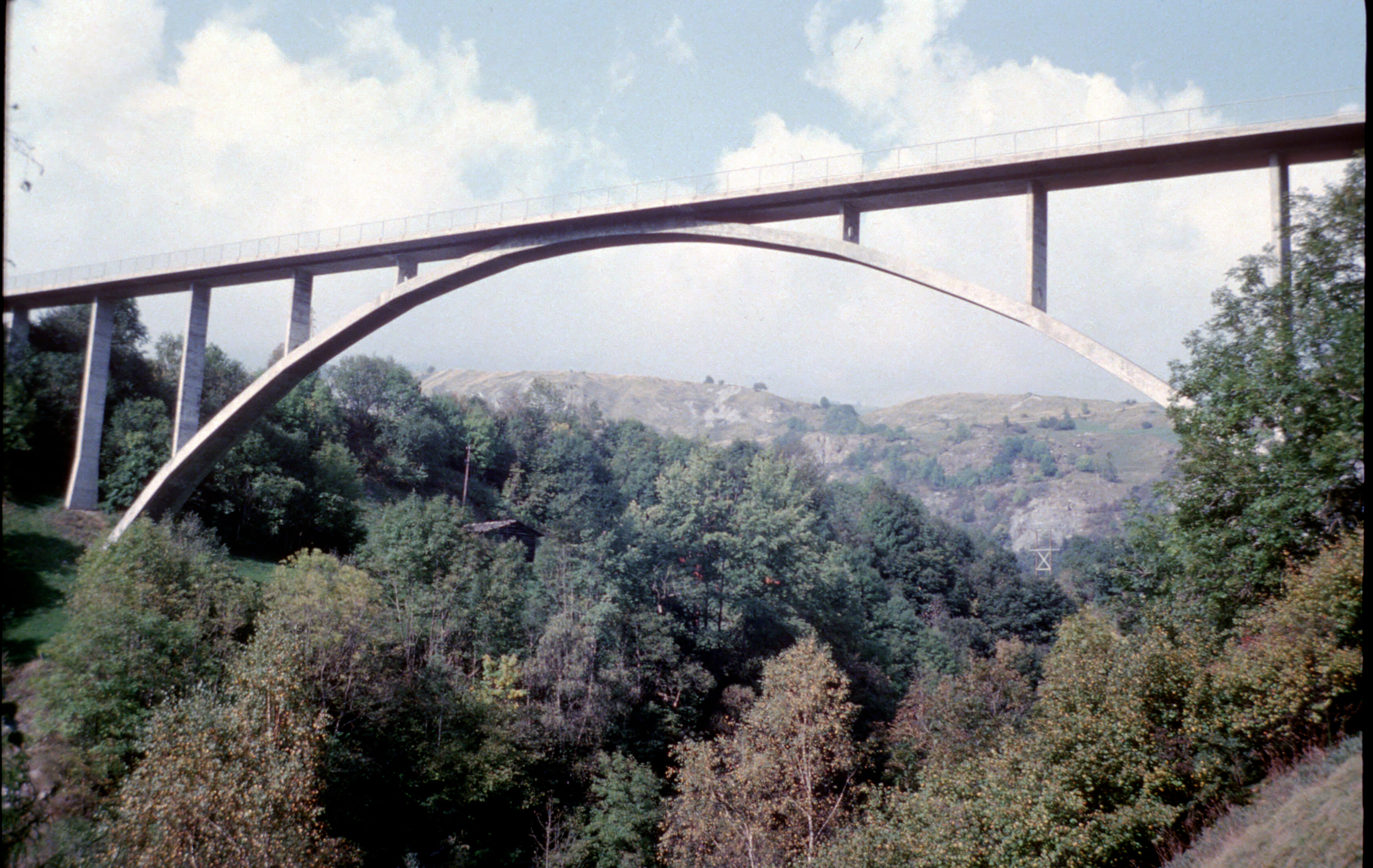 Perspectives on the Evolution of Structures: Reichenau Bridge