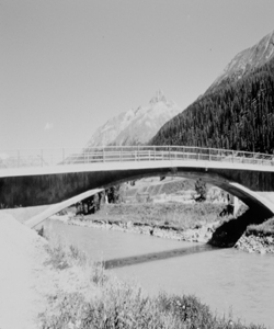 Perspectives on the Evolution of Structures: Zuoz Bridge